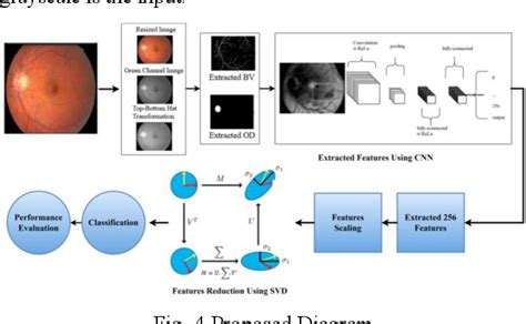Figure 1 From Deep Learning Approaches For Detecting Diabetic Retinopathy Using Cnn Models