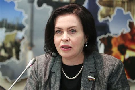 Заседание экспертного совета по развитию химической промышленности при Комитете по