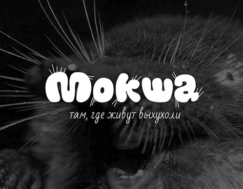 МОКША | мерч для заповедника :: Behance