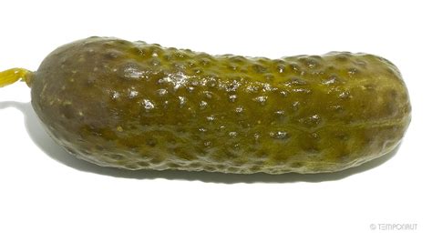 Pickle Youtube