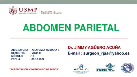 17 ABDOMEN PARIETAL Rosangela Vásquez Gallardo uDocz