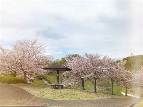 平群中央公園 平群町ホームページ