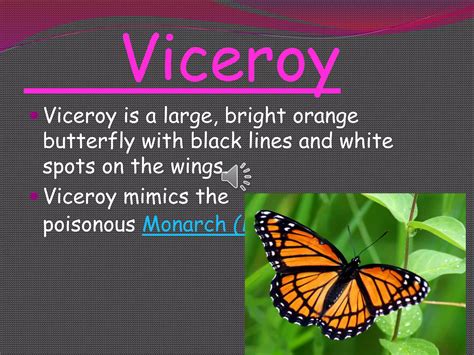 Richardhebright Pptx