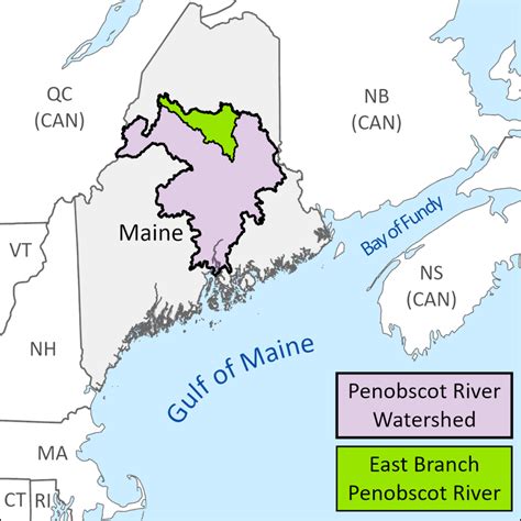 East Branch Penobscot River Salmon Habitat Rehabilitation Through