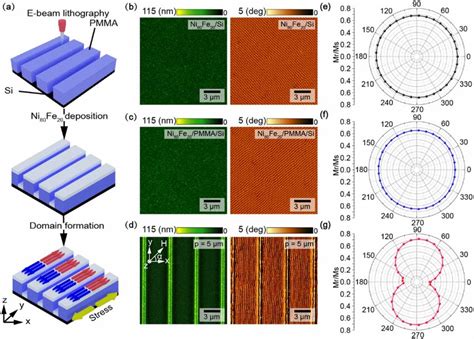 A Schematic Illustration Of The Processes To Realize Directional