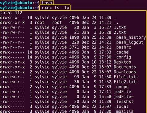 the “exec” command in linux [8 practical examples]