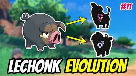 Pokedex 11 Lechonk Evolution Oinkologne Pokemon Scarlet And Violet