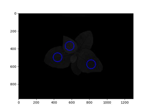 Visualize Chlorophyll Fluorescence Plantcv
