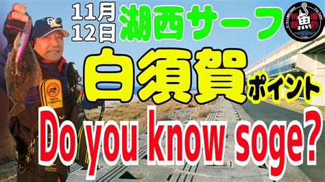 遠州灘 湖西サーフ 白須賀ポイント 伊良湖岬 田原サーフ 豊橋サーフ 釣り フィッシング ヒラメ マゴチ シーバス 青物 東海 ダイワ シマノ