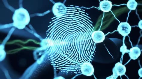 Discovering The Connections Between Fingerprints And Neural Networks In Advanced Technology