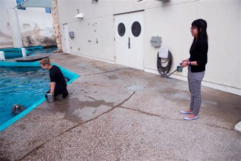 Texas State Aquarium Has New Job That Focuses On Animal Happiness