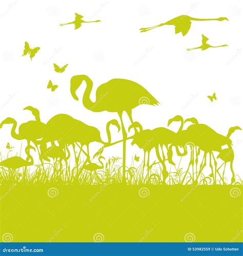 Flamingos At The Pond Stock Vector Illustration Of Distribution 53982559