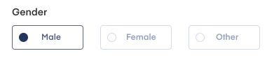 Html How To Create A Check Box With Rectangle Border Stack Overflow