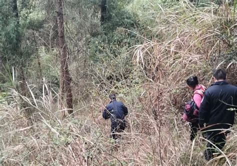 第526页隆回资讯隆回人网