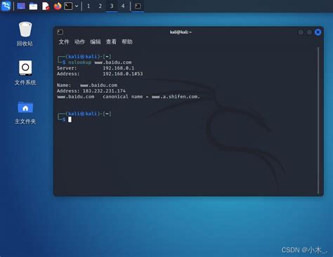 【实战模拟】使用kali Linux进行域名解析——模拟测试kali 域名解析 Csdn博客