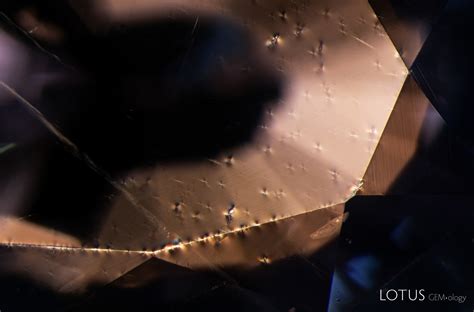 Hyperion • Inclusion Search Engine • Lotus Gemology