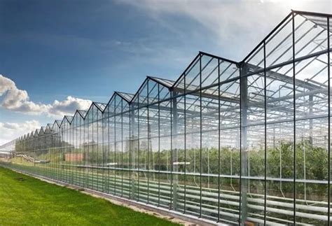 Glass Greenhouse Senhong Glass