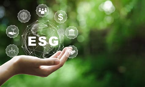 Still Early Days In Quest For Canadian Esg Disclosure Framework