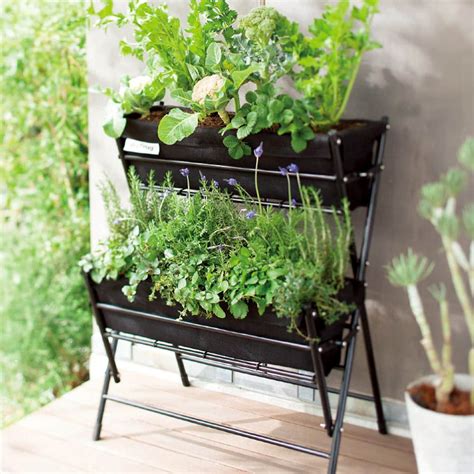 初心者必見！ベランダガーデニングに必要な園芸用品を通販で揃えよう Hanging Plants Plants Small Garden