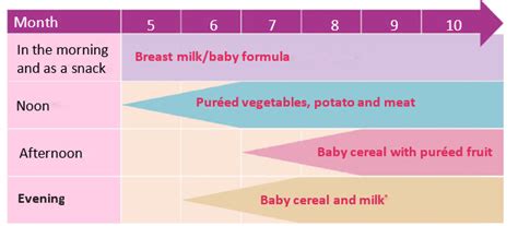 Ready For Purée How To Introduce Complementary Foods Denk Nutrition