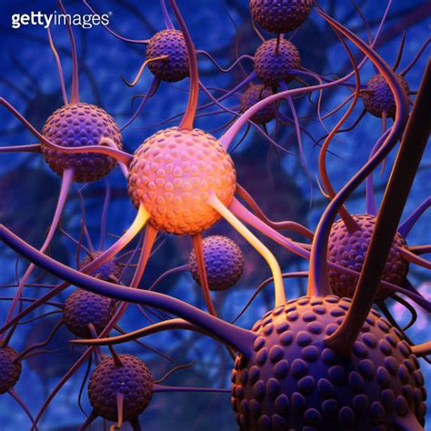 Nerve Cells 이미지 877737022 게티이미지뱅크