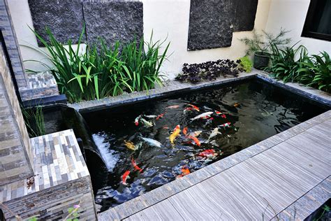 Kolam Ikan Koi Minimalis Homecare24
