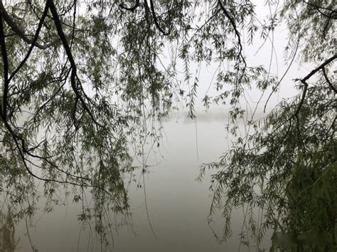 今年十月三十很不一般，那天“三星过箕斗，最怕见巽风”，为啥？ 知乎