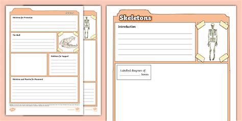 Skeleton Non Chronological Report Template