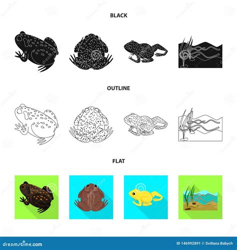 Isolated Object Of Wildlife And Bog Icon Set Of Wildlife And Reptile Stock Symbol For Web
