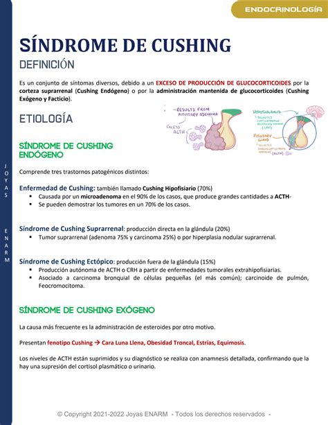 SOLUTION 14 S Ndrome De Cushing Studypool