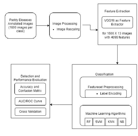 Figure 1 From A Cross Domain Hybrid Model For Paddy Disease Classification Semantic Scholar