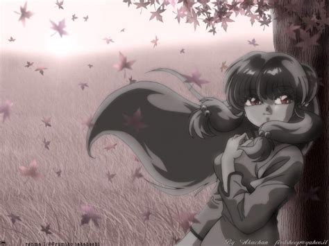 Shampoo Ranma Wallpapers Top Free Shampoo Ranma Backgrounds Wallpaperaccess