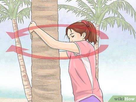 How To Free Climb A Tree With Pictures WikiHow Fitness