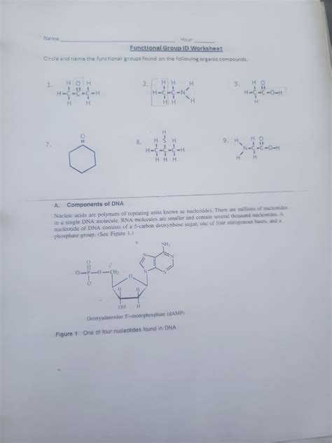 Solved Functional Group Id Worksheet Circle And Name The