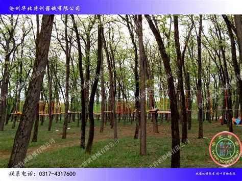 新乡丛林探险项目建设完成 拓展器械拓展器材儿童探险乐园 沧州华北特训器械有限公司