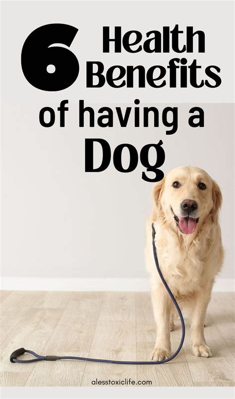 6 Health Benefits Of Owning A Dog Artofit