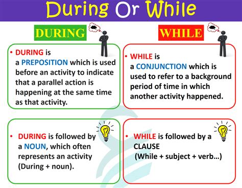 Confusing Grammar Terms During Vs While With Examples