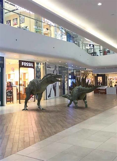 Dinosaur Fighting Synchronizing And Floating Trail Of Augmented