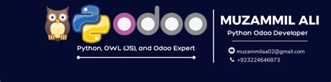 Muzammil Ali Srpython Odoo Developer Aerial Teknology Python Odoo Sql Rest Apis