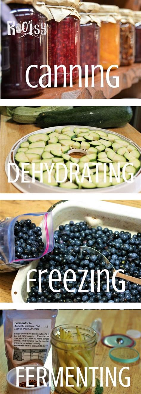 Preserve The Harvest Canning Dehydrating Freezing And Fermenting