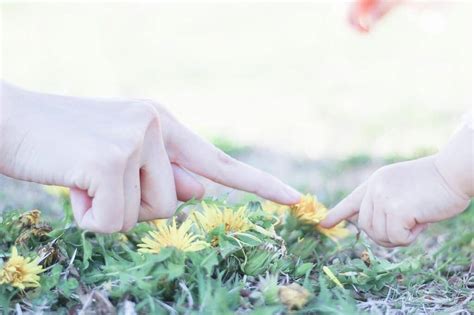 花をモチーフにしたかわいい女の子の名前は？ 植物や自然をイメージするおすすめの名前152選！ はいチーズ！クリップ