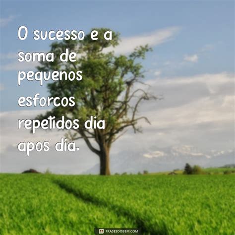 Frases Inspiradoras Para Impulsionar Sua Conquista Profissional