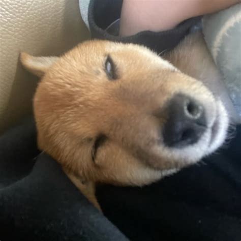 Shimin Shi Min • Threads Say More