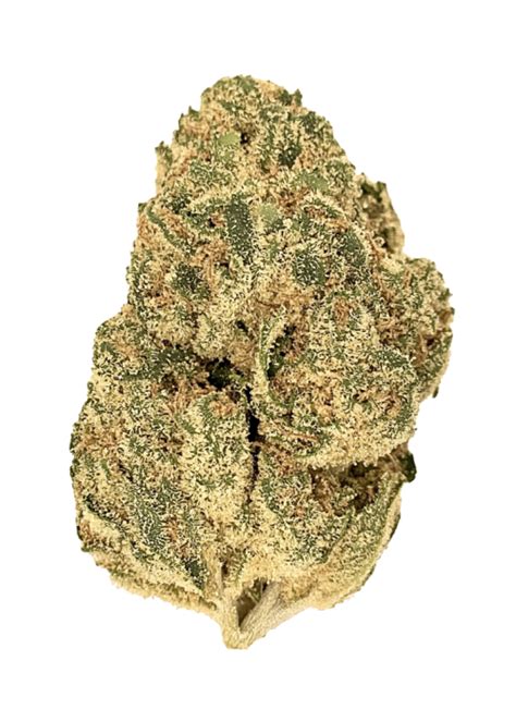 Banana Split Cannabis Strain Information Growdiaries