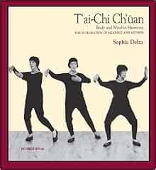 T Ai Chi Ch Uan Wu Style Body And Mind In Harmony The Integration Of Meaning And Method