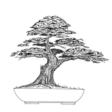 Pink Bonsai Tree Drawing At Ellis Brashears Blog