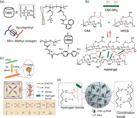 Self‐healing Cnc‐containing Hybrid Gels A Cucurbituril Cb 8 Can Download Scientific Diagram