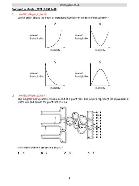 2021n Transport In Plants Igcse 0610 Pdf