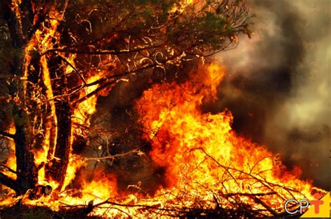 Grande incêndio no Seixal combatido por mais de bombeiros e nove