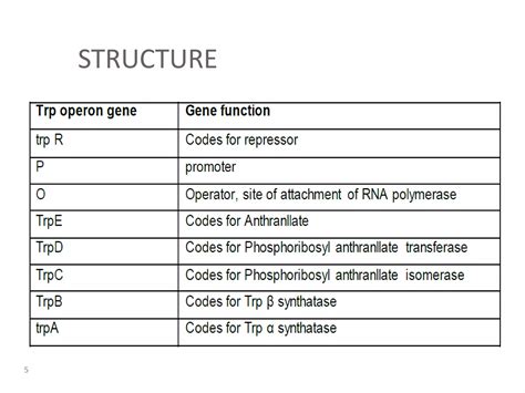 tryptophan operon gp 102 pptx chemistry science